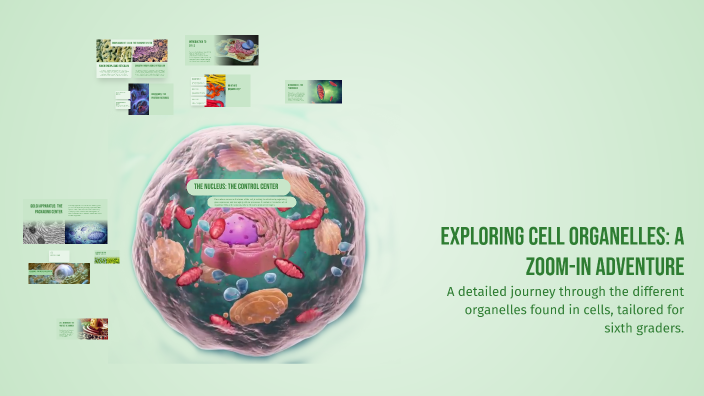Exploring Cell Organelles: A Zoom-In Adventure by Brayden Mills on Prezi