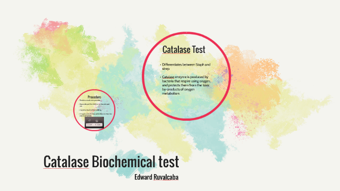 Catalase Biochemical test by edward ruvalcaba on Prezi