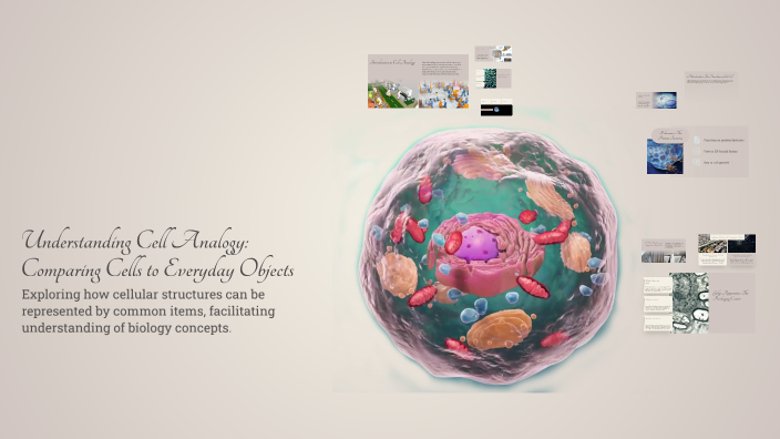 Understanding Cell Analogy: Comparing Cells to Everyday Objects by ...
