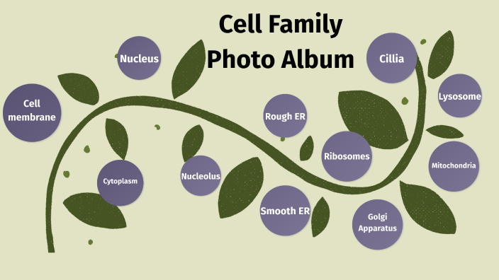 Cell Family Photo Album by yongting Ou on Prezi