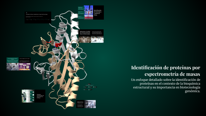 Identificación de proteínas por espectrometría de masas by José Ángel Lizárraga Briseño on Prezi
