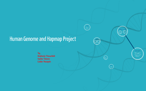 Human Genome and Hapmap Project by Caitlin Hudspith on Prezi