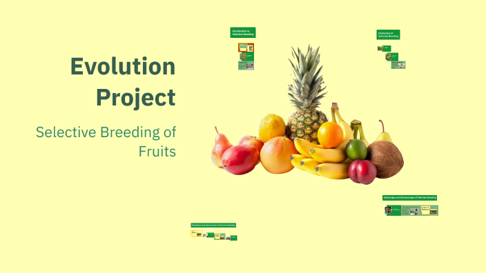 Evolution Project: Selective Breeding of Fruits by Jenny Pham on Prezi