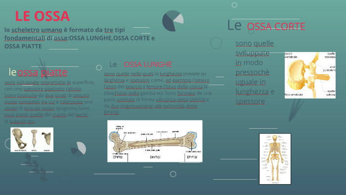 LE OSSA by elisabeth palazzo on Prezi