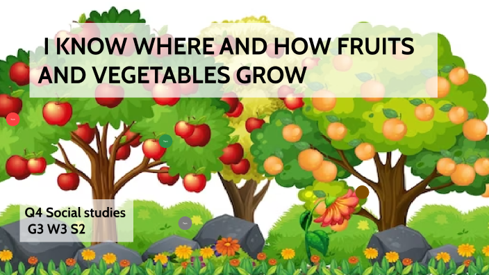 Q4 Soc G3 W3 S2 I KNOW WHERE AND HOW FRUITS AND VEGETABLES GROW by Alaa ...