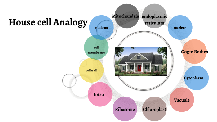 house cell analogy by Brooklyn Johnson on Prezi