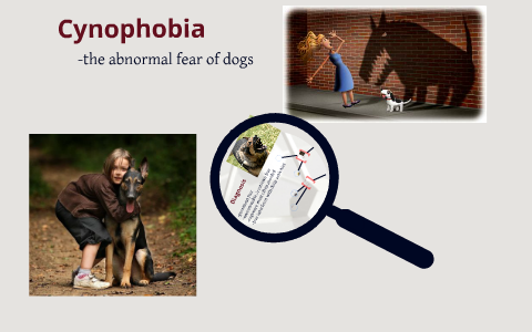Cynophobia by Jasmin Galli on Prezi
