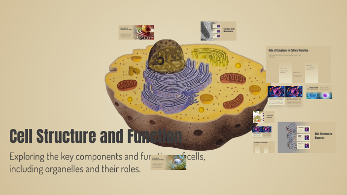 Cell Structure and Function by Merle Bogner on Prezi