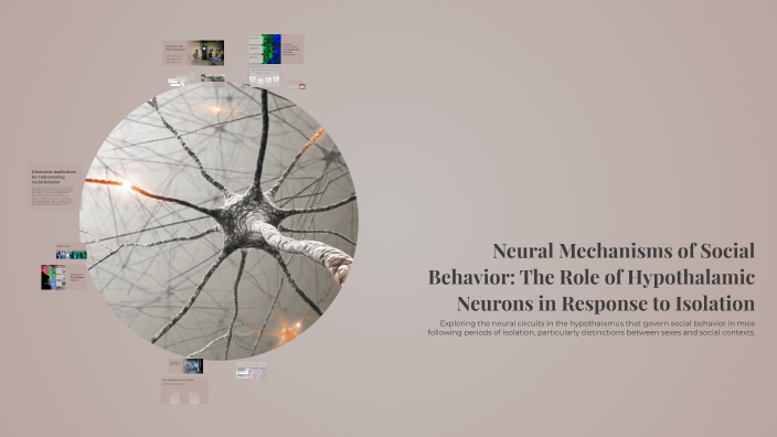 Neural Mechanisms of Social Behavior: The Role of Hypothalamic Neurons ...