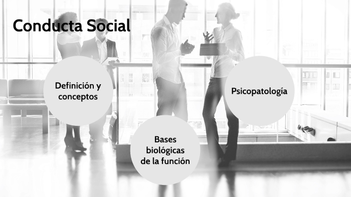 Conducta social by Camilo Rueda on Prezi