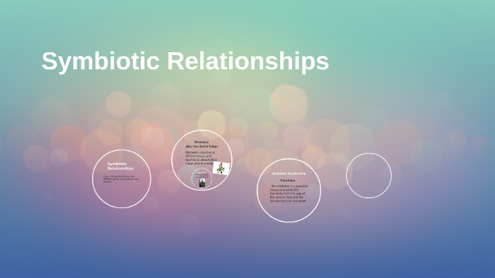 Symbiotic Relationships by hailee klobchar on Prezi