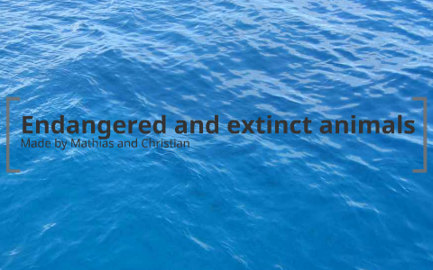 Endangered and extinct animals by Christian Juul on Prezi
