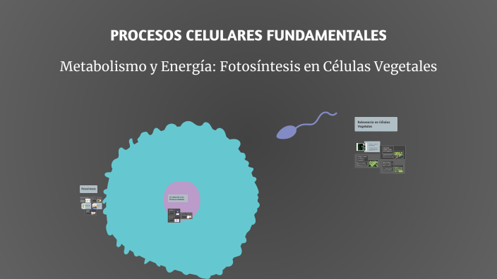 PROCESOS CELULARES FUNDAMENTALES by Victor Andres on Prezi