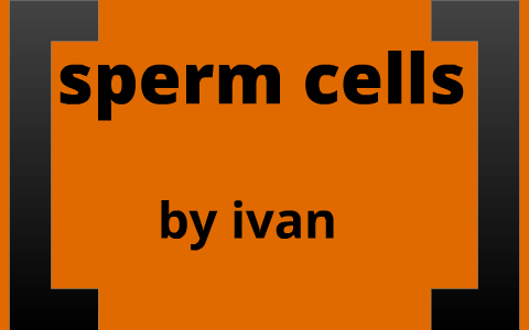 sperm cells by ivan foy on Prezi