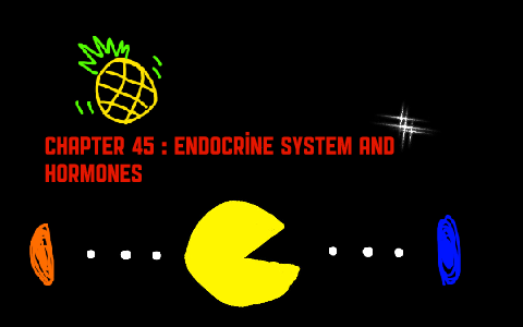 Chapter - 45: Endocrine System & Hormones by Alex Soto on Prezi