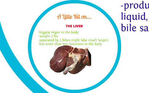 Liver and Gallstones by Maria Barzegar on Prezi