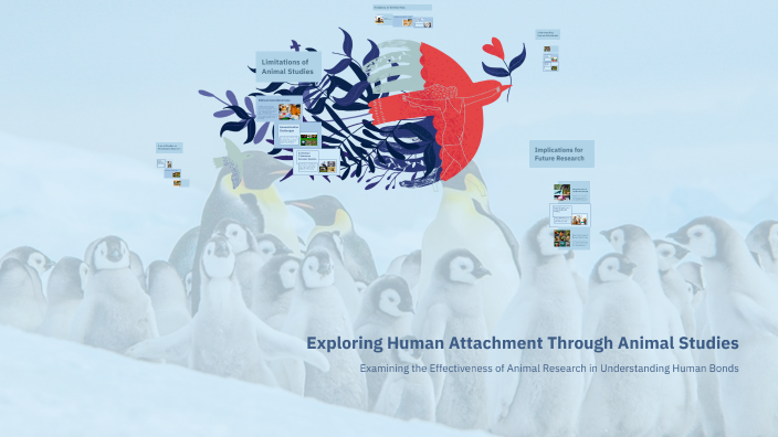 Exploring Human Attachment Through Animal Studies by Jay Dhesi on Prezi