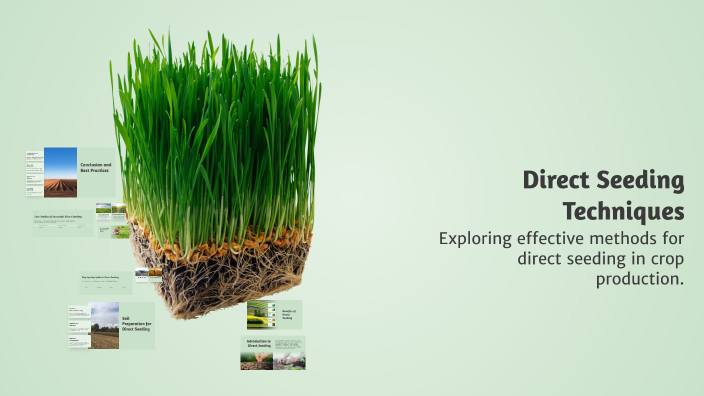 Methods of direct seeding by Mina Solis on Prezi