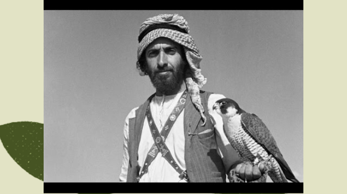 Shekh Zayed by Sama Ibrahim on Prezi