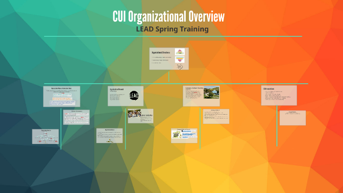 CUI Organizational Structure Overview by Laura Courvoisier on Prezi