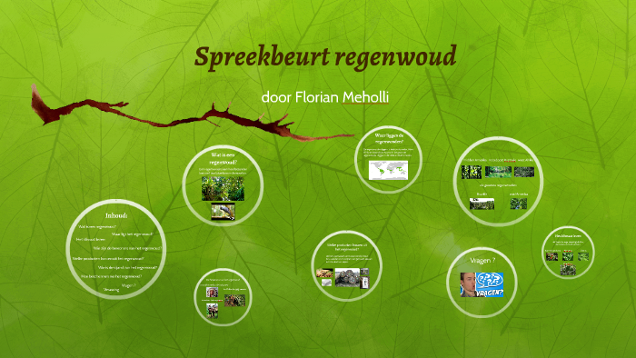 Spreekbeurt regenwoud by hanneke leussink