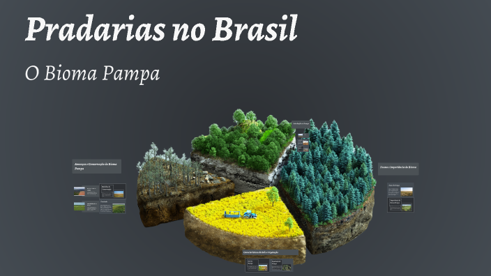 Pradarias no Brasil by Jhonatan Rafael on Prezi