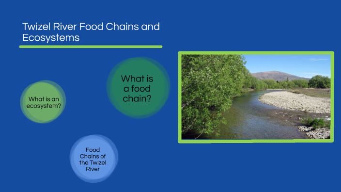 Twizel River Food Chains And Ecosystems by Rosie Frank on Prezi