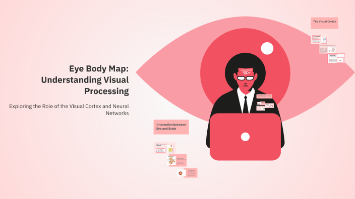 Eye Body Map: Understanding Visual Processing by Luca Makarigakis on Prezi