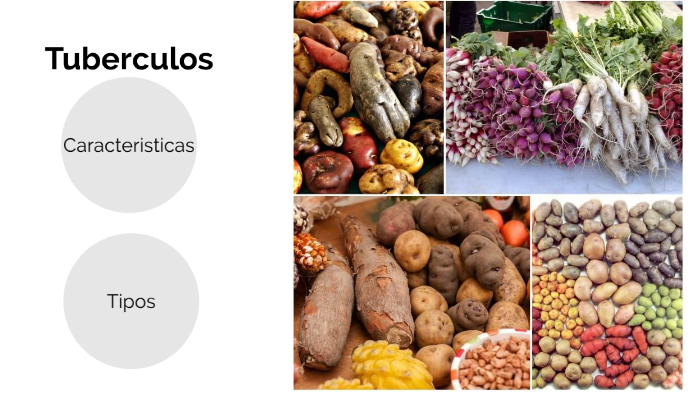 Tuberculos by Manuelita Montes on Prezi