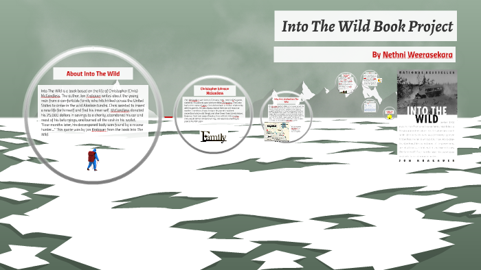 Into The Wild Book Project by Nethni W