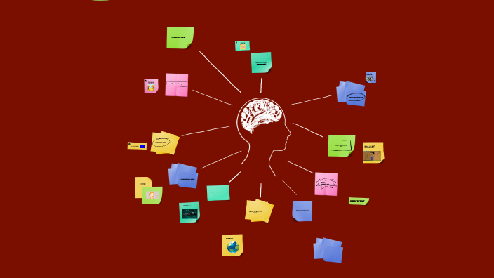 qui soc? by Alex Barriga castillo on Prezi