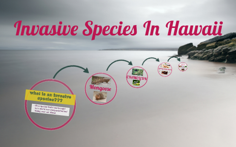 Invasive Species In Hawaii by mariko arai-ballesteros on Prezi