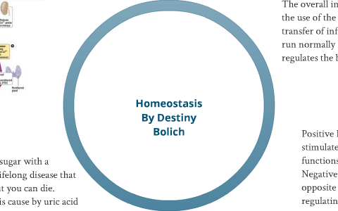Homeostasis Project by Destiny Dawn on Prezi
