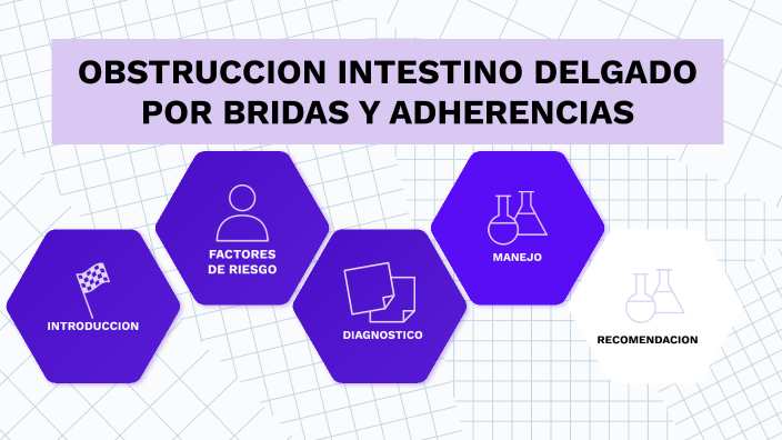 OBSTRUCCION INTESTINO DELGADO POR BRIDAS Y ADHERENCIAS by thamara ...