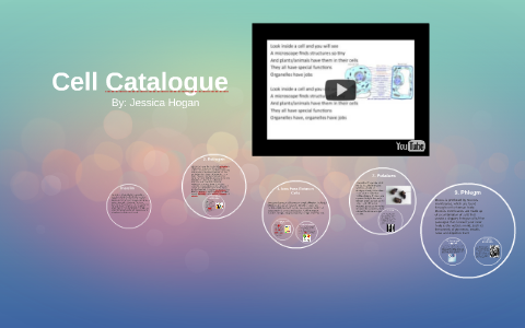 Cell Catalogue Background Information and Checklist by Jessica Hogan on ...