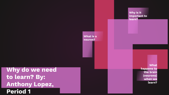 Why do we need to learn? by Papa Smurf on Prezi