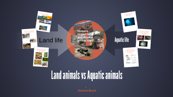 Land animals vs Aquatic animals by Arieana Beach on Prezi