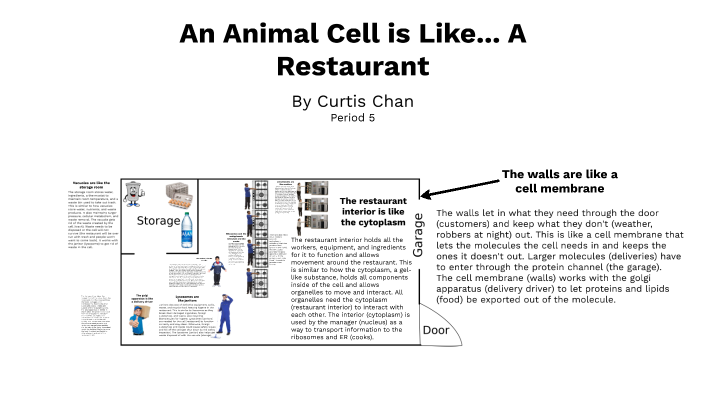 Curtis Chan - Cell Analogy by Curtis Chan on Prezi