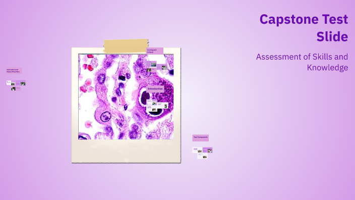 Capstone Test Slide by EILEEN CHANG _ on Prezi