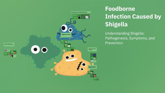 Foodborne Infection Caused by Shigella by smruti sikha on Prezi