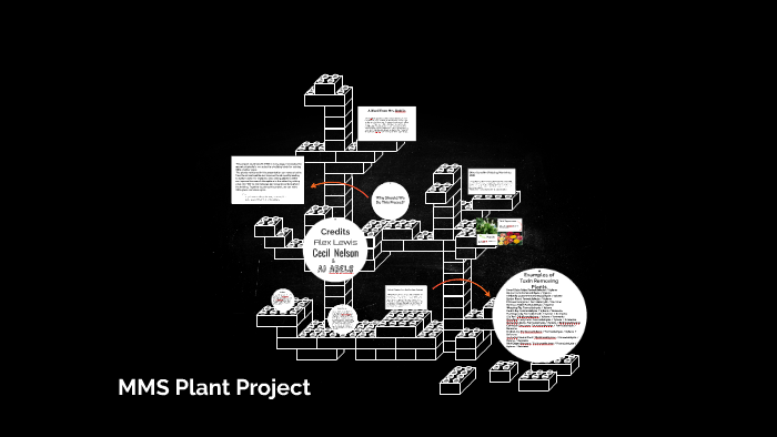 MMS Plant Project by Alex Lewis on Prezi