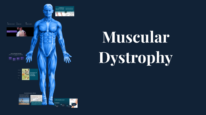 Understanding Muscular Dystrophy: An Anatomy and Physiology Perspective ...