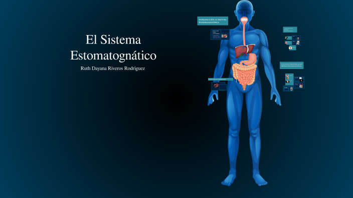 El Sistema Estomatognático by Ruth Dayana Riveros Rodriguez on Prezi
