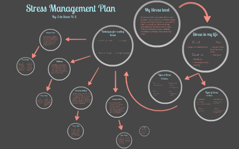 Stress Management Plan by Erin Stone