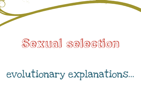 Sexual selection and human reproductive system by Lucy O'Donnell on Prezi