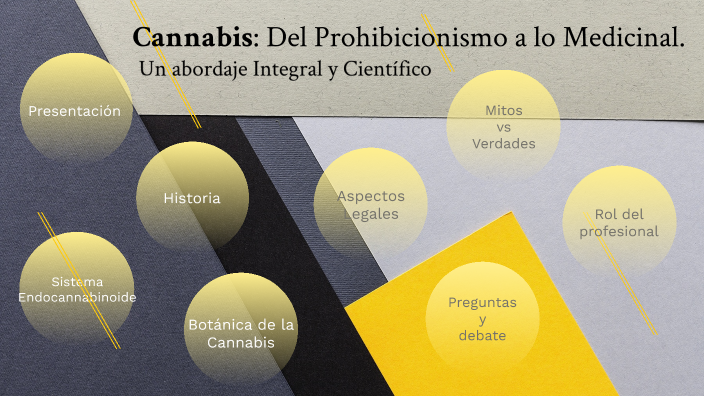 Cannabis Del Prohibicionismo A Lo Medicinal Un Abordaje Integral Y