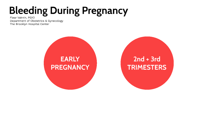 Bleeding During Pregnancy by flear vaknin on Prezi