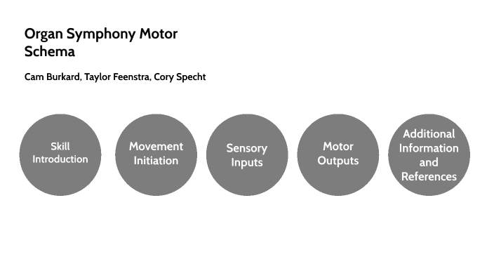 Organ Symphony Motor Schema by Cory Specht on Prezi