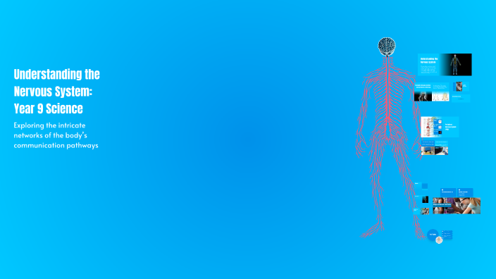 Understanding the Nervous System: Year 9 Science by Rhonda Simmons on Prezi