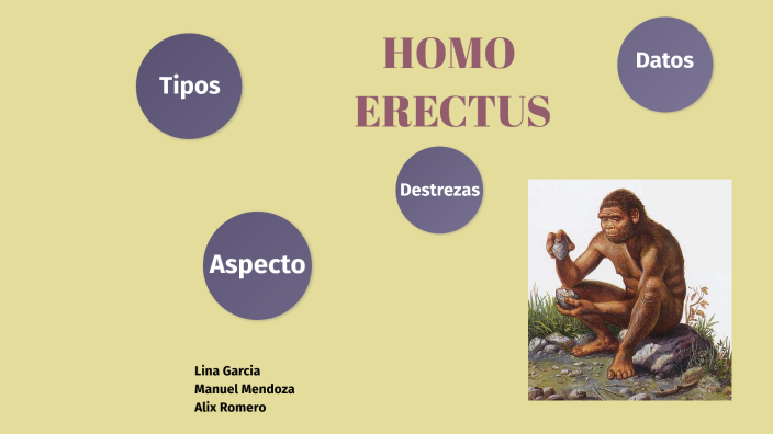 Homo Erectus by vale garcia on Prezi